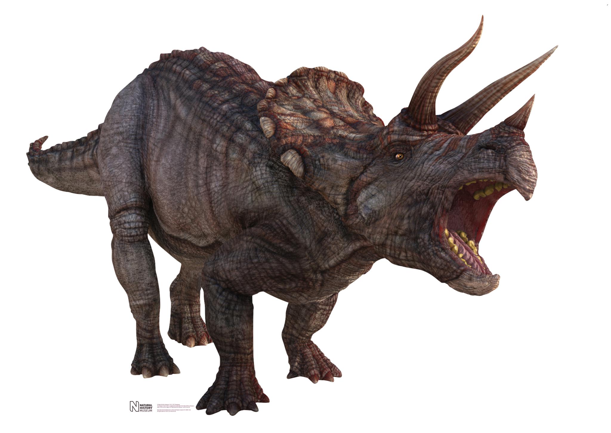 New Horned Dinosaur Looks Kind Of Like Mercury