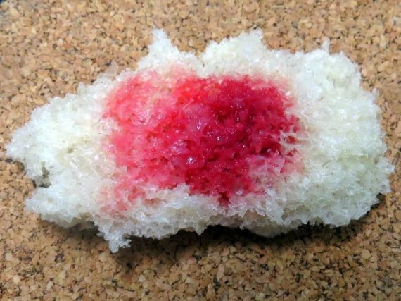 Mysterious Bleeding Communion Wafer Appears in Utah