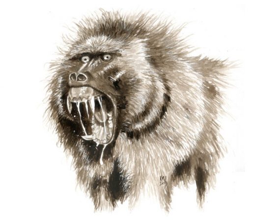 Exploring American Monsters: New Hampshire