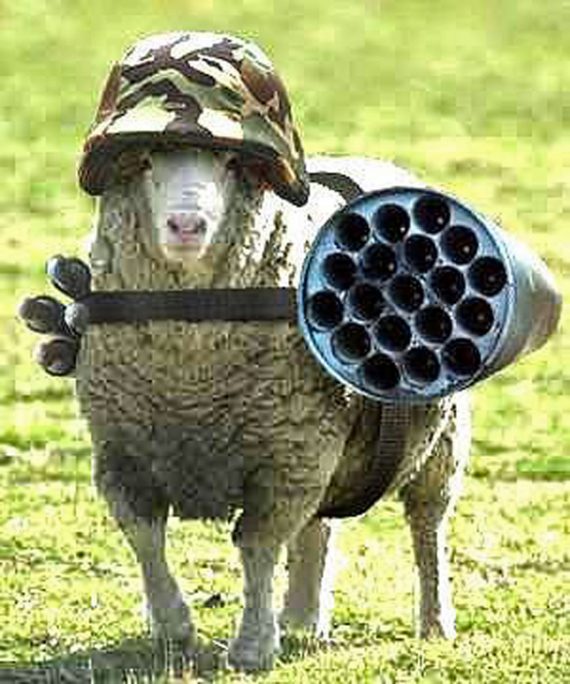 Bionic Sheep are Keeping the Wolves Away with Sound