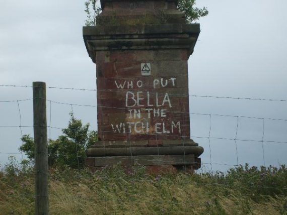 Murder and Mystery at the Witch Elm