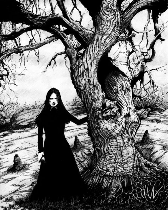 Haunted, Cursed, and Just Plain Mysterious Trees of the World