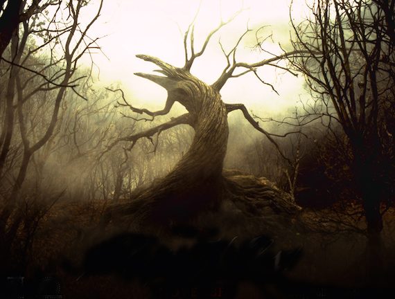 Haunted, Cursed, and Just Plain Mysterious Trees of the World