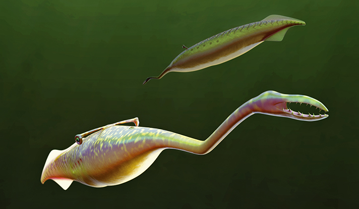The Identity of the “Tully Monster” Remains a Mystery