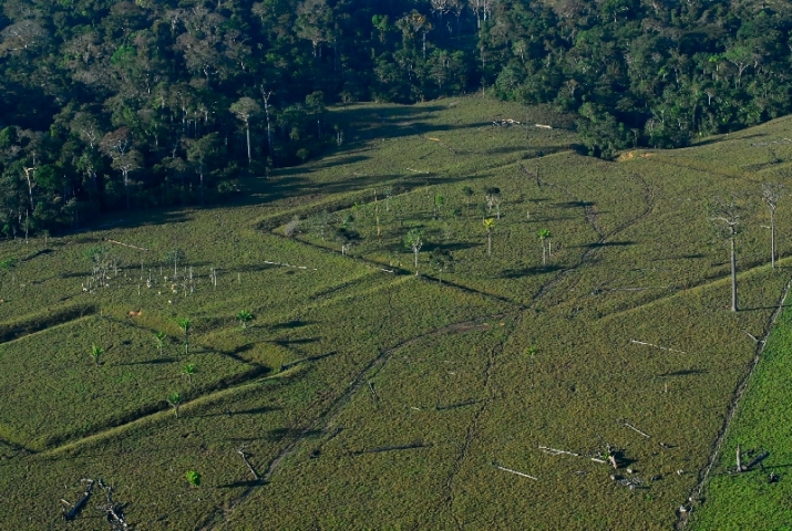 The Amazon is an Ancient Ecological Engineering Project