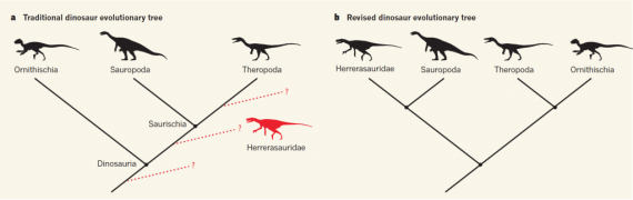 Possible New Common Ancestor Shakes Up Dinosaur Family Tree