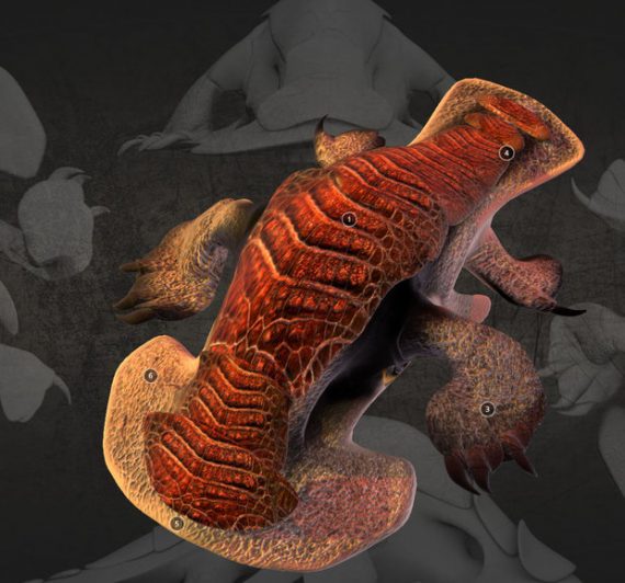 Scientist Shows What Space Aliens Will Really Look Like