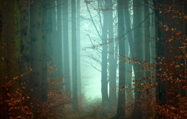 The “Missing” Enigma: An Unsettling Personal Encounter in the American ...