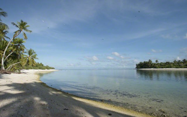 Amelia Earhart Photograph Contradicted By Bone-Sniffing Dogs