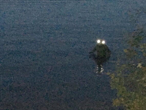 Weird Encounters with Frog-Men, Gill-Men, and Other Amphibious Humanoids