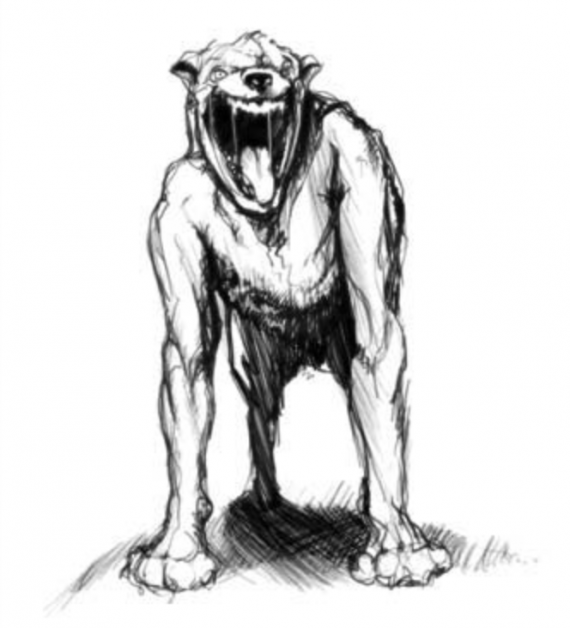 The Adventures of Captain William Hitchens: Encounters With Early ...