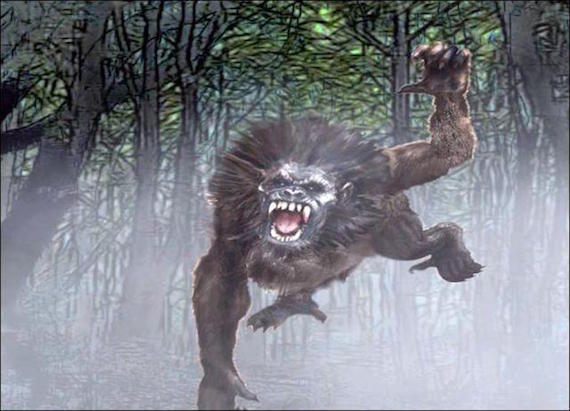 The Mysterious Devil Monkeys of North America