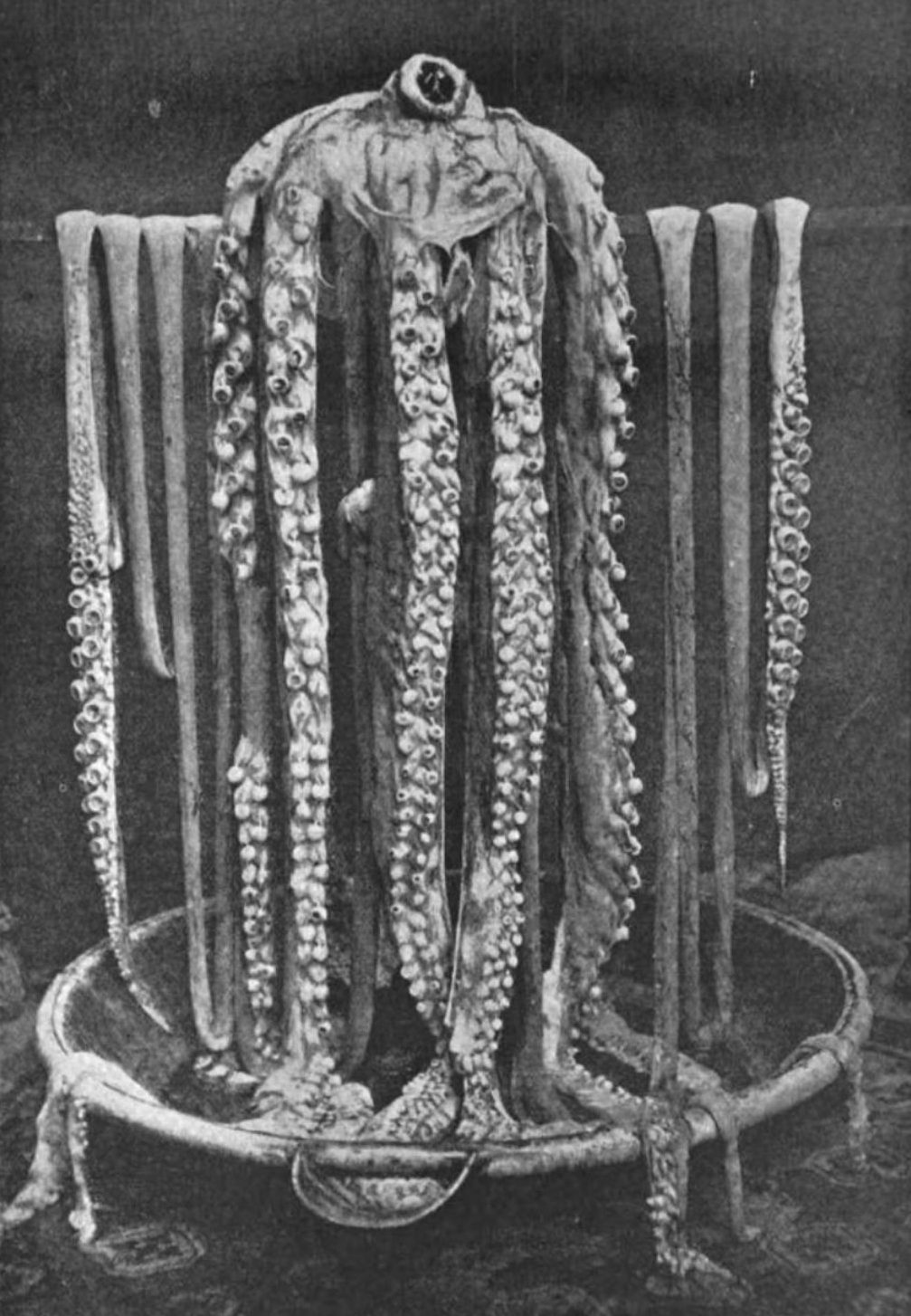 Exploring Canadian Monsters: Newfoundland and Labrador