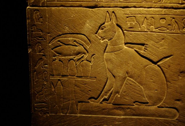 Egyptian Tomb has Mummified Cats and Scarab Beetles and a Sealed Door