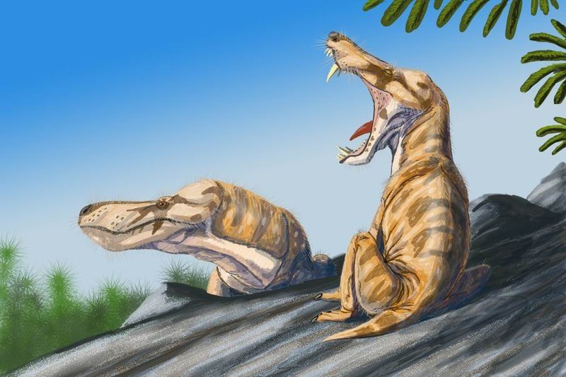 Toothless: Ancient Creature Sheds New Light on Age of Dinosaurs