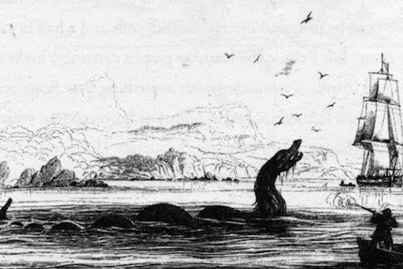 The Mysterious Sea Monsters of San Francisco Bay