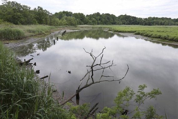 The Horror That Came To Matawan Creek
