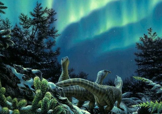 The Mysterious Fossil Forests of Antarctica