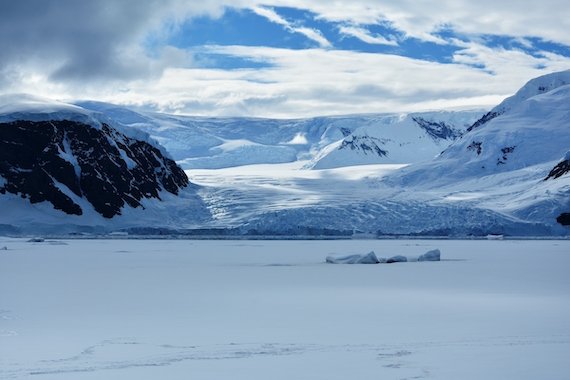 The Mysterious Fossil Forests of Antarctica