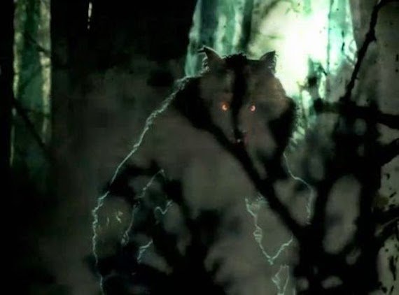 The Mysterious Wolfman of the Great Dismal Swamp