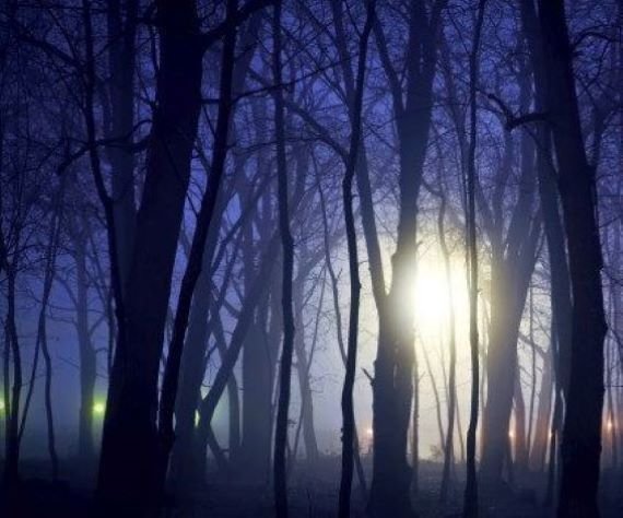 A Bizarre UFO Encounter and Alien Pancakes