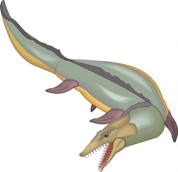 66-Million-Year-Old Mosasaur Had Three-Foot-Long Skull And Crocodile ...