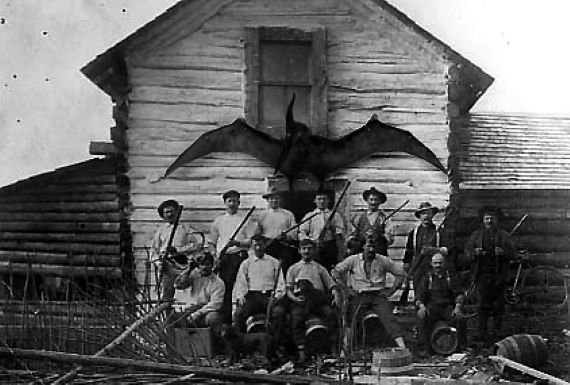 The Strange Mystery of the Lost Thunderbird Photo