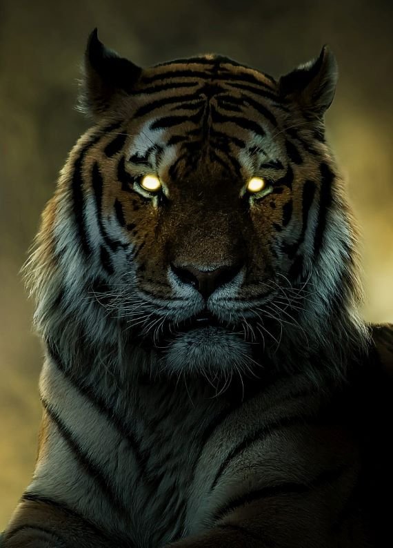 The Bloody Story of the Demon Tiger of Champawat