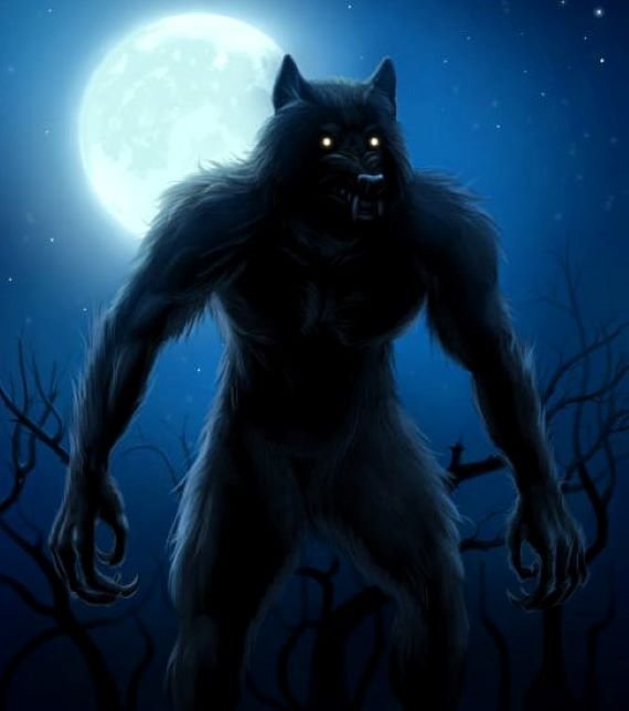 Werewolves and the Strange Case of the Morbach Monster