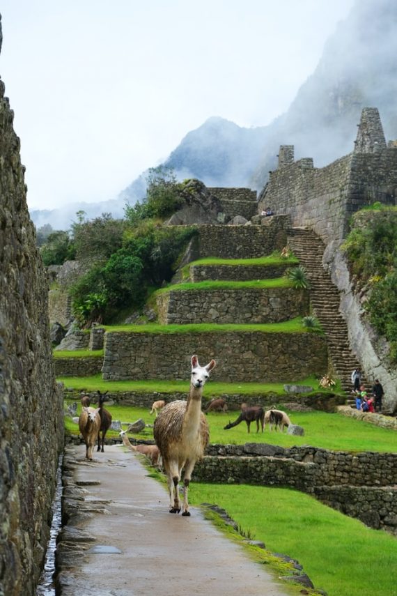 Previously Unknown Structures and Canals Found Near Peru’s Machu Picchu