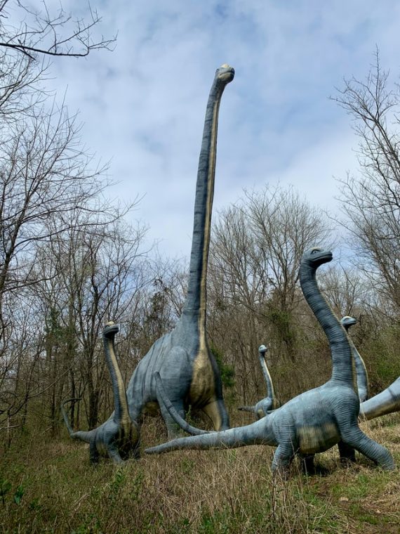 Calling Jurassic Docs — New Details on Dinosaur Head Colds and Vomiting