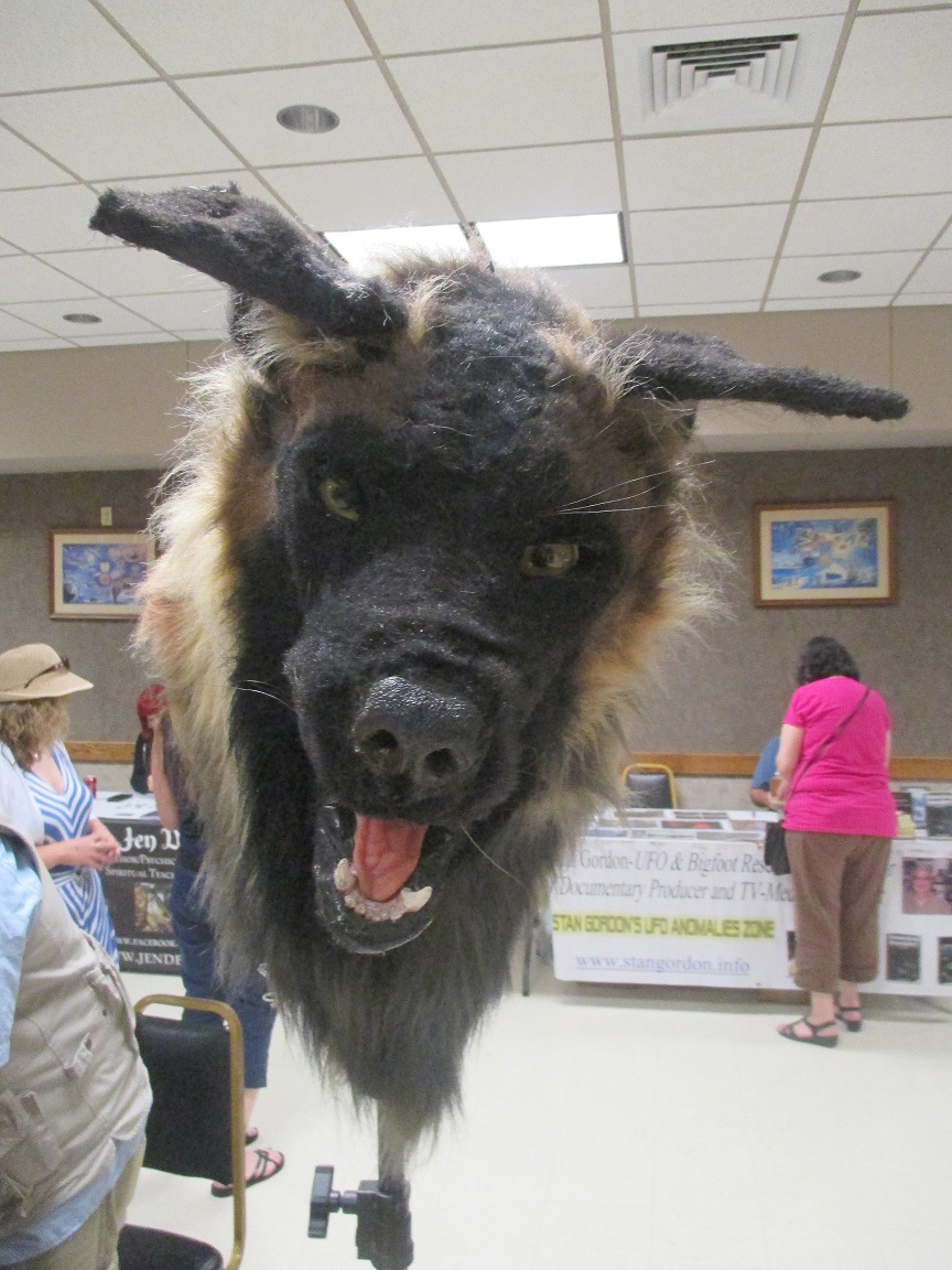 Paranormal Shapeshifters: How Many Kinds Are There?