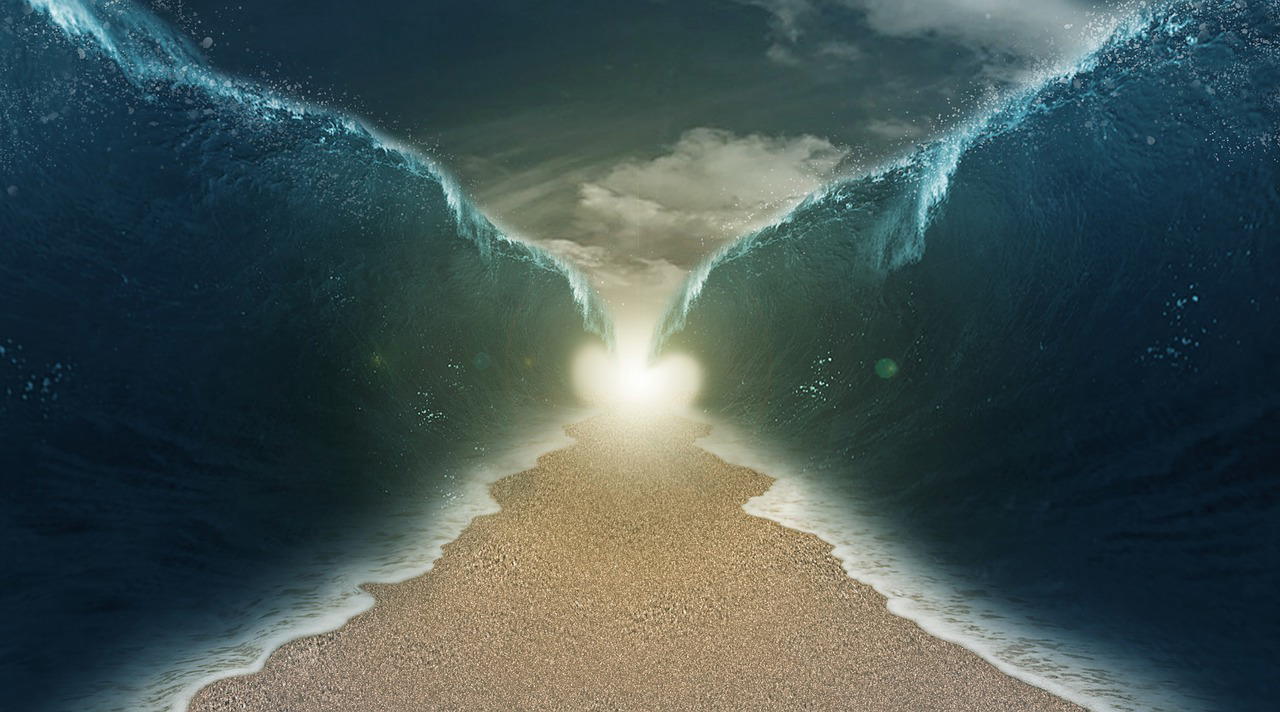 Dead Pools Discovered on the Bottom of the Red Sea