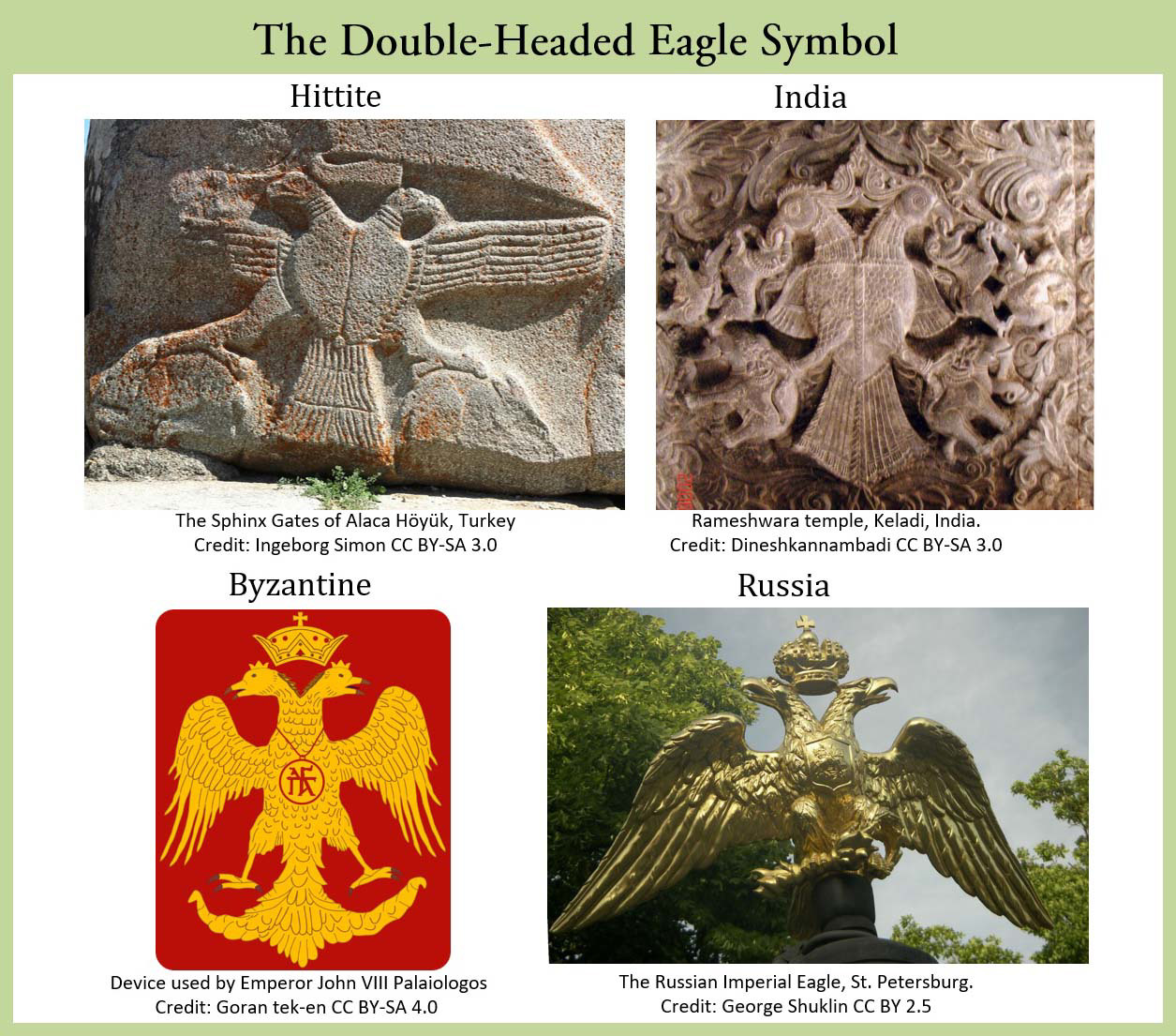 The Phoenix: Is it a Bird or a Sungrazing, Jupiter-Family Comet?