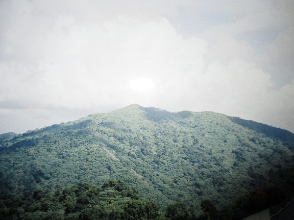 Saturated With Multiple Different Monsters: The Island of Puerto Rico