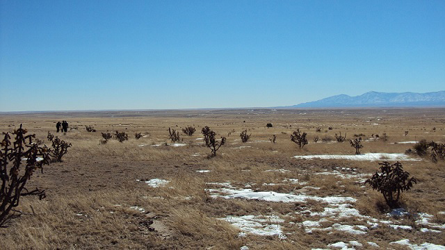 Questionable UFO "Top Secret" Documents: Crashed UFOs and Dead Aliens