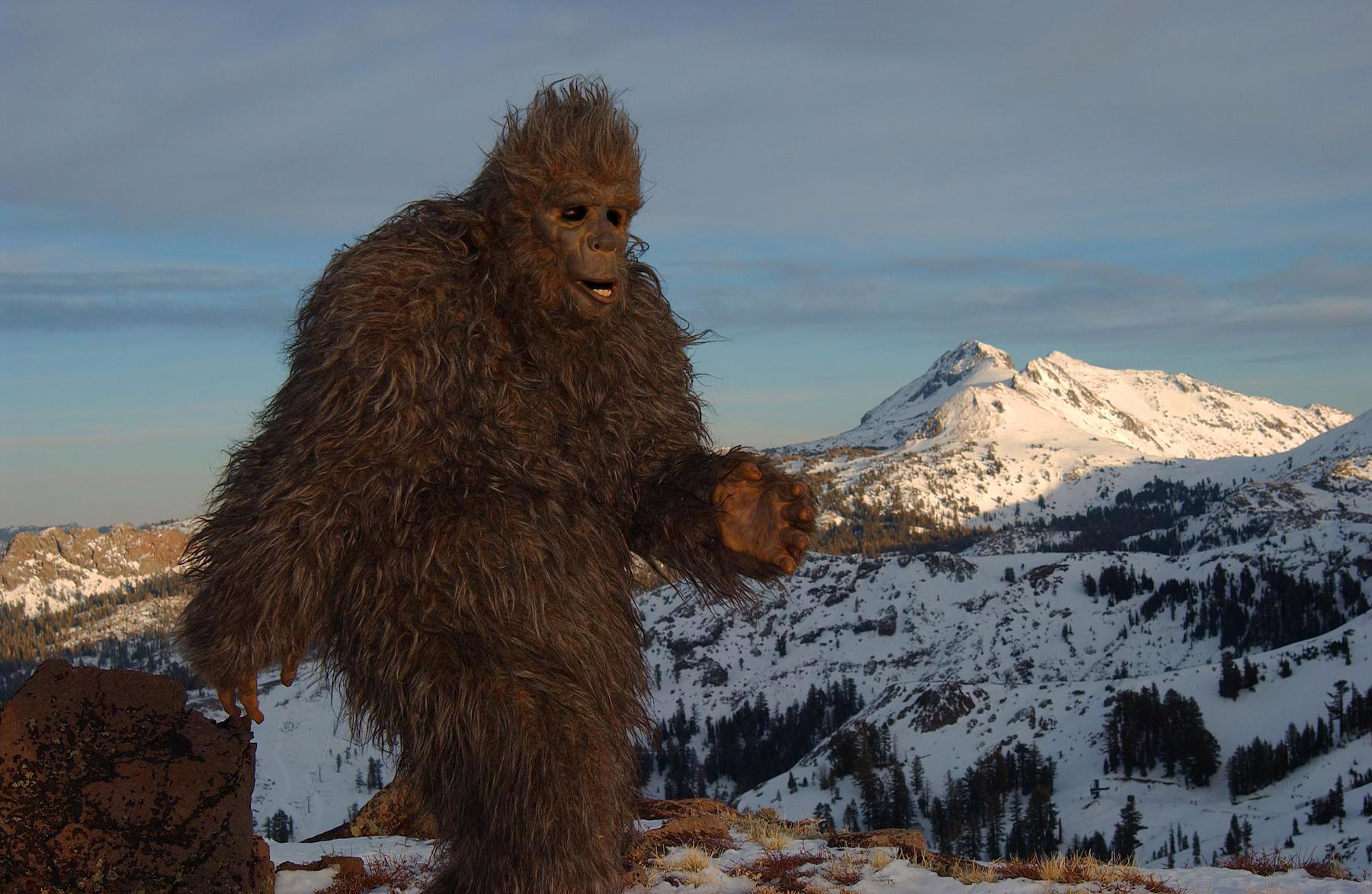 Primate Fossils Found on Arctic Island - Proof of Bigfoot?